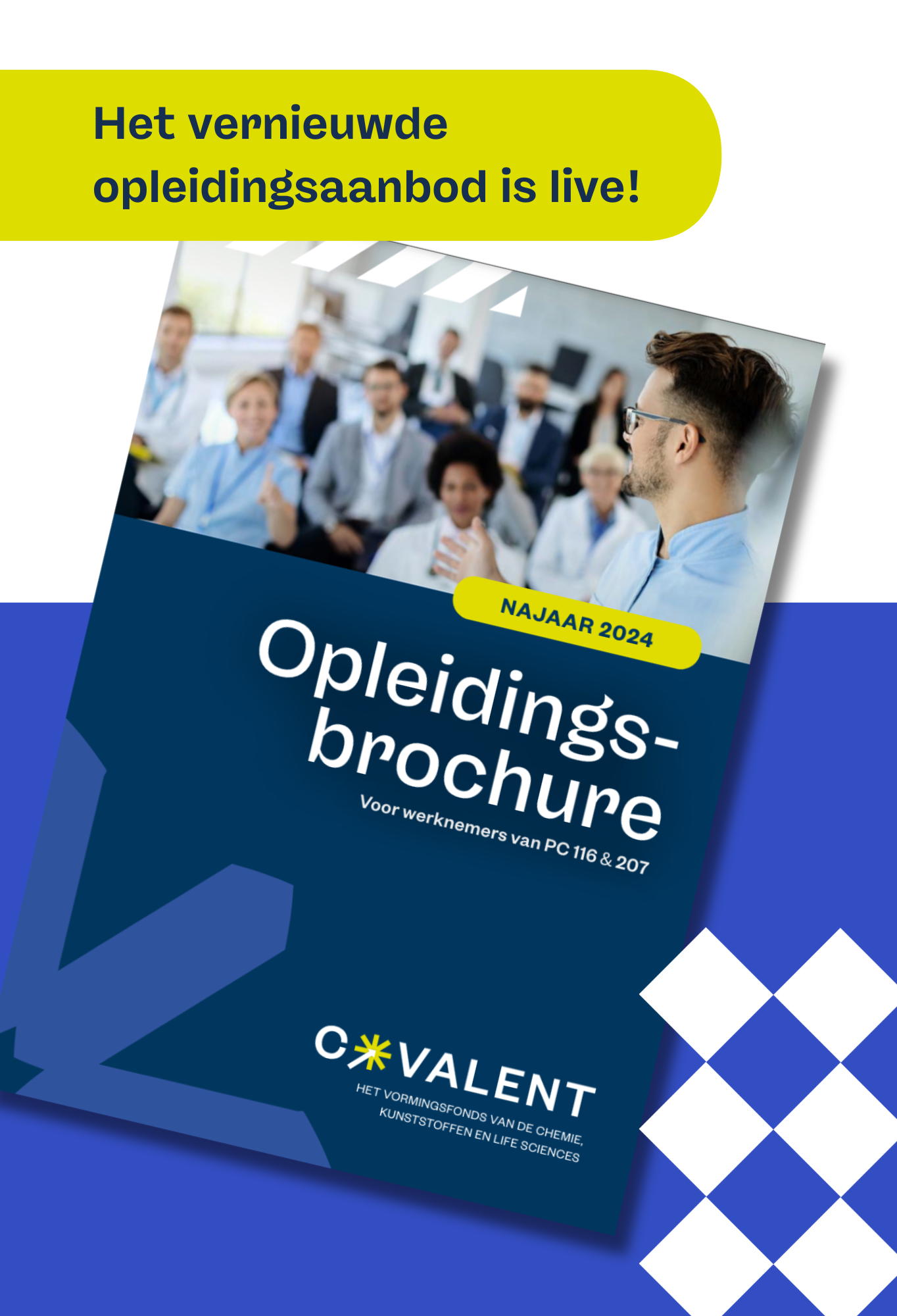 Connecting talents, shaping futures - Co-valent